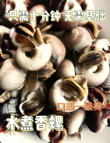 香螺怎么煮_香螺煮多久才熟-第1张图片-山城妙识 香螺怎么煮_香螺煮多久才熟-第1张图片-山城妙识