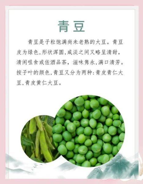 青黄豆的营养价值及功效_青黄豆怎么吃最营养-第1张图片-山城妙识