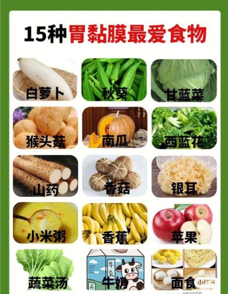 吃什么食品养胃最有效_胃不好吃什么调理-第3张图片-山城妙识