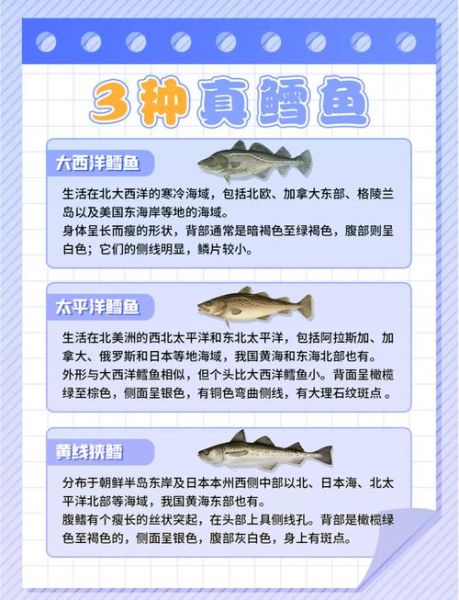 龙鳕鱼与银鳕鱼的区别_哪个更适合宝宝吃-第1张图片-山城妙识