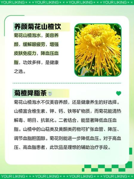 山楂枸杞菊花茶的功效与禁忌_什么时候喝最好-第3张图片-山城妙识