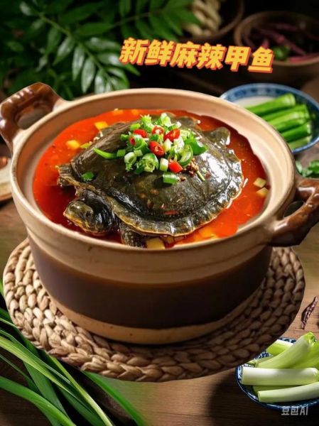 麻辣甲鱼怎么做_家常麻辣甲鱼的做法-第1张图片-山城妙识