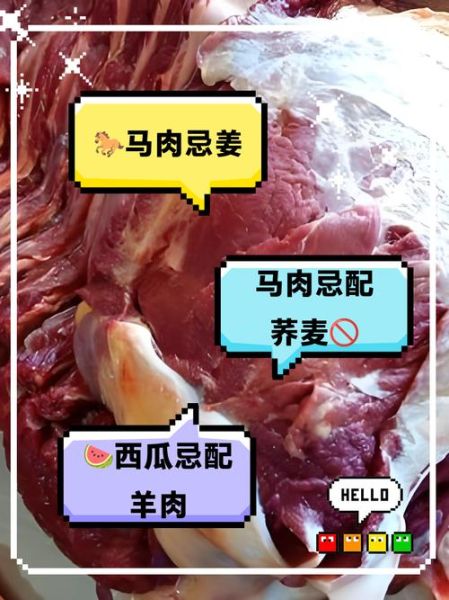 马肉不能和什么一起吃_马肉禁忌人群有哪些-第2张图片-山城妙识 马肉不能和什么一起吃_马肉禁忌人群有哪些-第2张图片-山城妙识