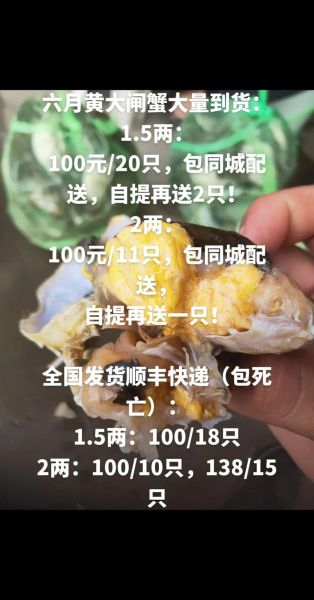 六月黄大闸蟹怎么挑选_六月黄和阳澄湖大闸蟹区别-第2张图片-山城妙识 六月黄大闸蟹怎么挑选_六月黄和阳澄湖大闸蟹区别-第2张图片-山城妙识
