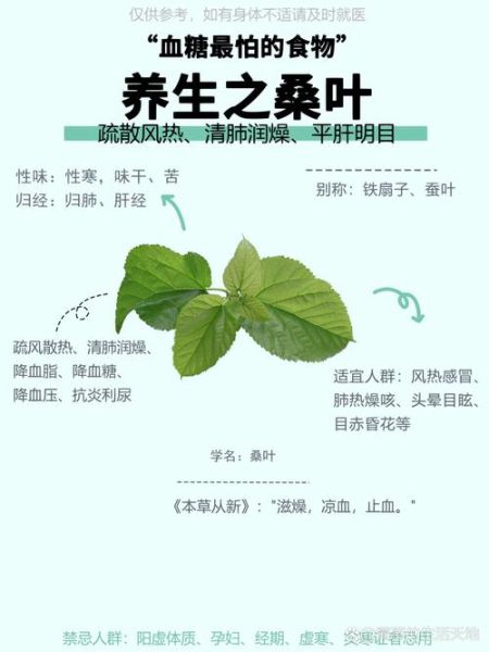 桑叶泡水喝的功效与作用_桑叶能治什么病-第1张图片-山城妙识