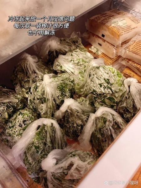 羽衣甘蓝可以冷冻保存吗_冷冻后营养会流失吗-第3张图片-山城妙识
