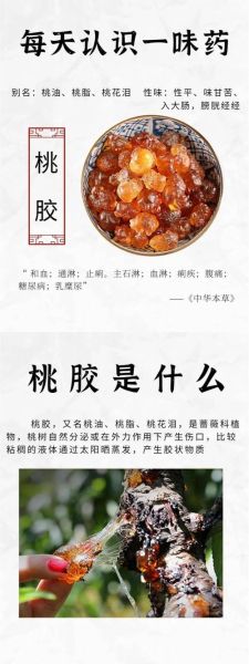 桃胶的功效与作用有哪些_桃胶的营养价值高吗-第1张图片-山城妙识 桃胶的功效与作用有哪些_桃胶的营养价值高吗-第1张图片-山城妙识
