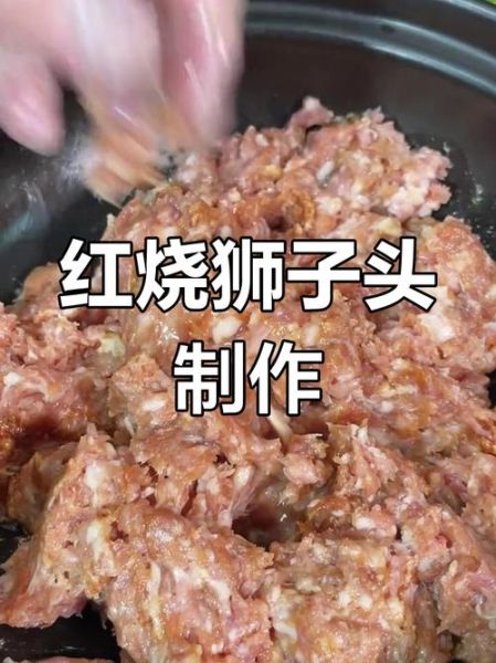 狮子头丸子怎么做_正宗做法步骤-第3张图片-山城妙识