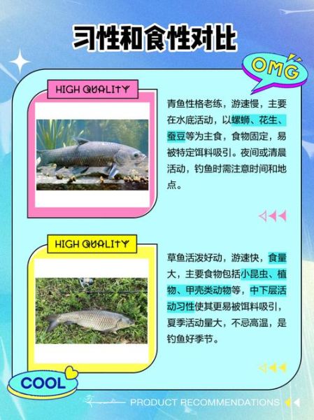 草鱼和青鱼哪个好吃_口感区别在哪里-第2张图片-山城妙识 草鱼和青鱼哪个好吃_口感区别在哪里-第2张图片-山城妙识