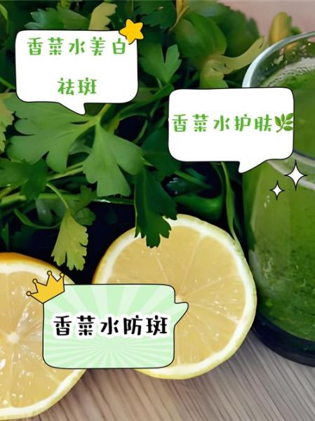 香菜煮水洗脸有什么好处_香菜水洗脸能天天用吗-第1张图片-山城妙识 香菜煮水洗脸有什么好处_香菜水洗脸能天天用吗-第1张图片-山城妙识