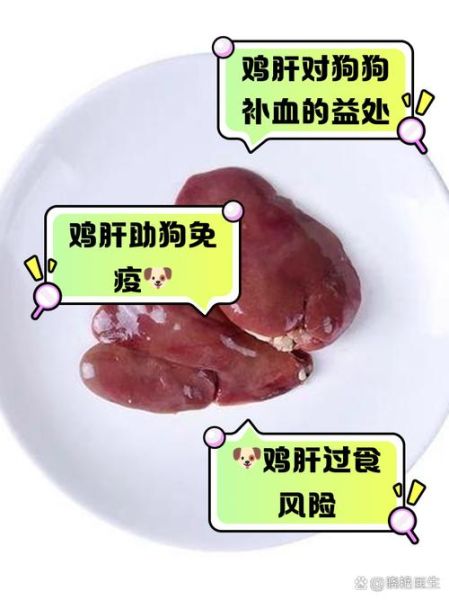 鸡肝吃多了有什么坏处_鸡肝胆固醇高吗-第3张图片-山城妙识 鸡肝吃多了有什么坏处_鸡肝胆固醇高吗-第3张图片-山城妙识