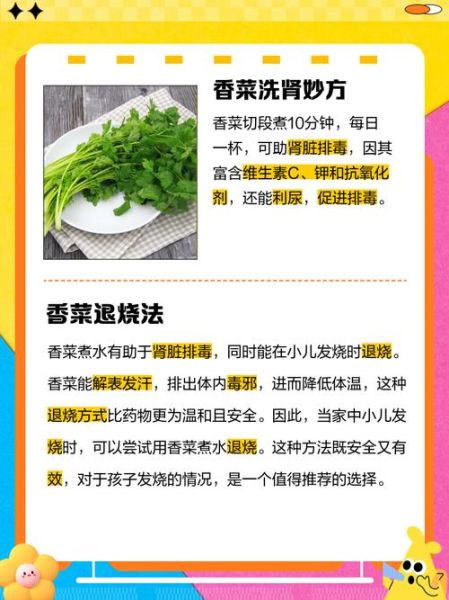 香菜煮水洗脸有什么好处_香菜水洗脸能天天用吗-第3张图片-山城妙识 香菜煮水洗脸有什么好处_香菜水洗脸能天天用吗-第3张图片-山城妙识