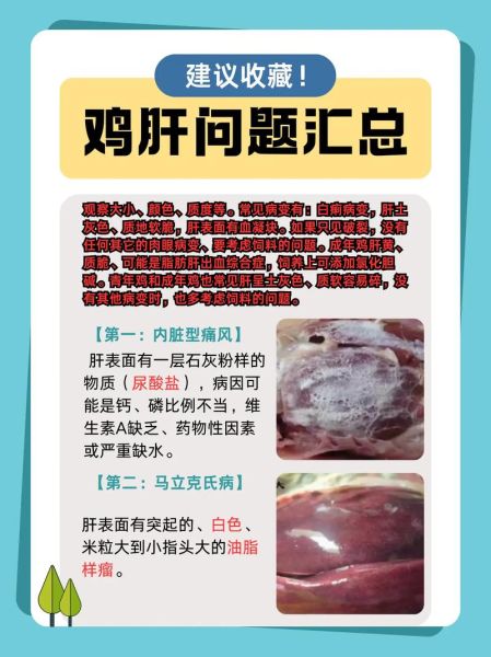 鸡肝吃多了有什么坏处_鸡肝胆固醇高吗-第2张图片-山城妙识 鸡肝吃多了有什么坏处_鸡肝胆固醇高吗-第2张图片-山城妙识