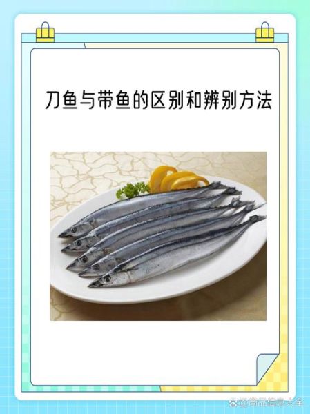 刀鱼是淡水鱼还是海鱼_刀鱼生活习性揭秘-第1张图片-山城妙识