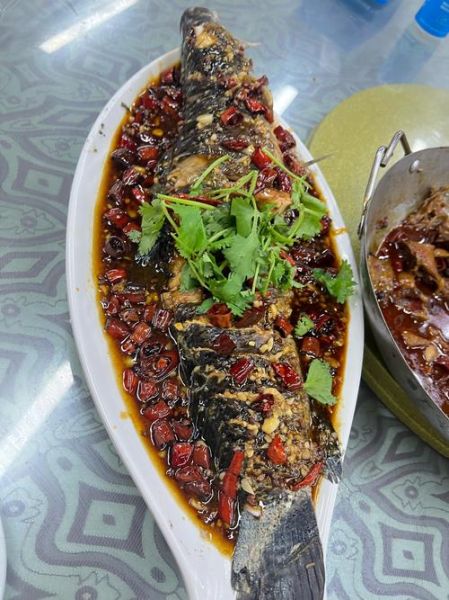 黑鱼怎么做好吃_黑鱼做法大全视频-第2张图片-山城妙识