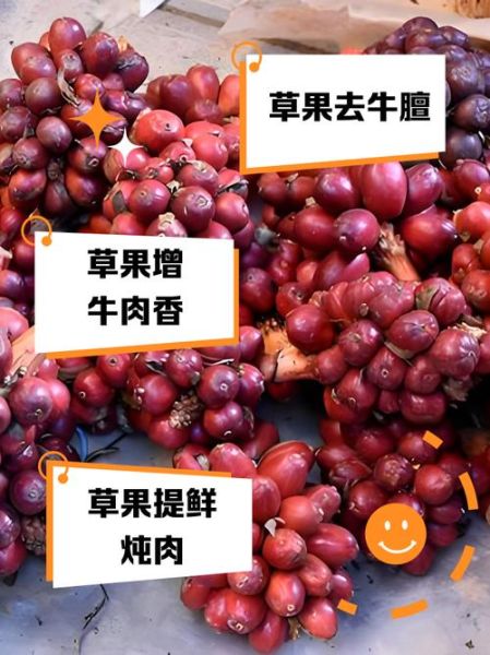 香果和草果的区别_香果和草果哪个更适合炖肉-第2张图片-山城妙识