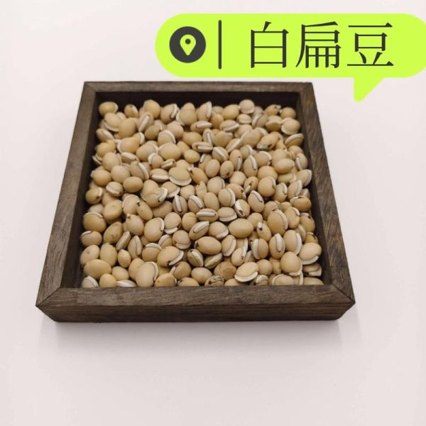 白扁豆图片_白扁豆和扁豆的区别-第2张图片-山城妙识