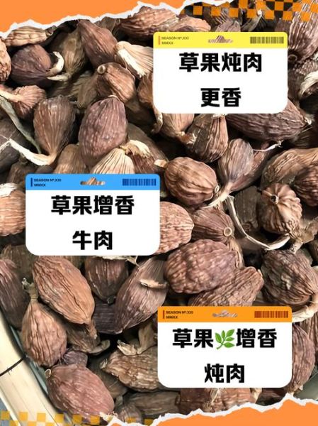 香果和草果的区别_香果和草果哪个更适合炖肉-第1张图片-山城妙识