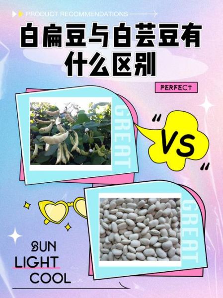 白扁豆图片_白扁豆和扁豆的区别-第1张图片-山城妙识