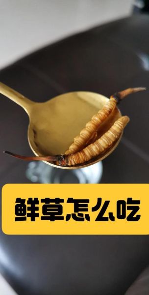 鲜虫草怎么吃效果最好_鲜虫草食用方法-第1张图片-山城妙识