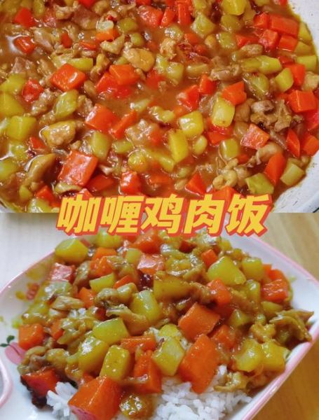 鸡肉咖喱饭怎么做_咖喱饭用哪种咖喱块-第2张图片-山城妙识
