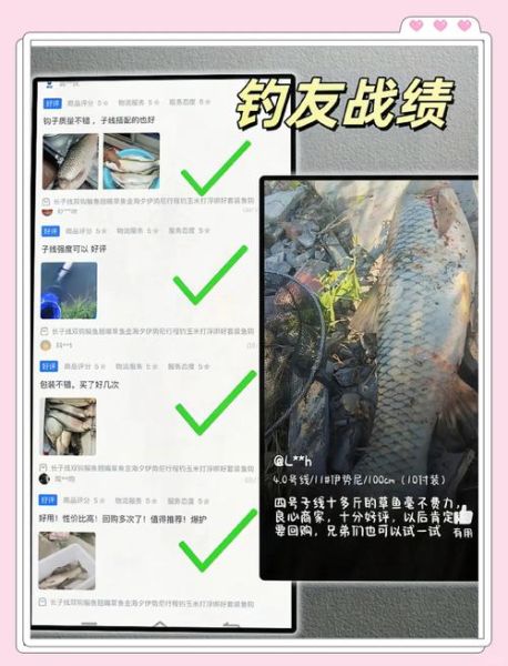 鳊鱼怎么钓_鳊鱼钓法技巧-第3张图片-山城妙识 鳊鱼怎么钓_鳊鱼钓法技巧-第3张图片-山城妙识