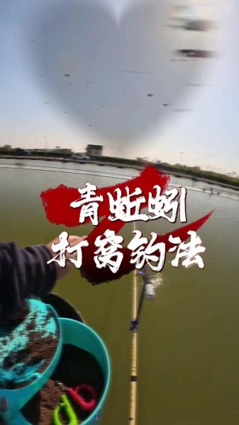 鳊鱼怎么钓_鳊鱼钓法技巧-第2张图片-山城妙识 鳊鱼怎么钓_鳊鱼钓法技巧-第2张图片-山城妙识