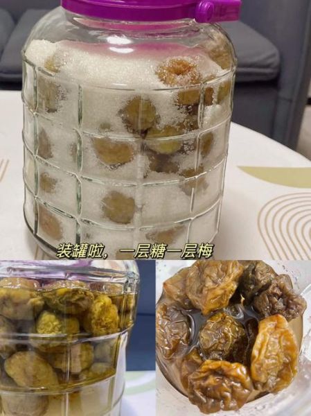 自制蜜饯的做法大全_如何保存蜜饯不返潮-第2张图片-山城妙识