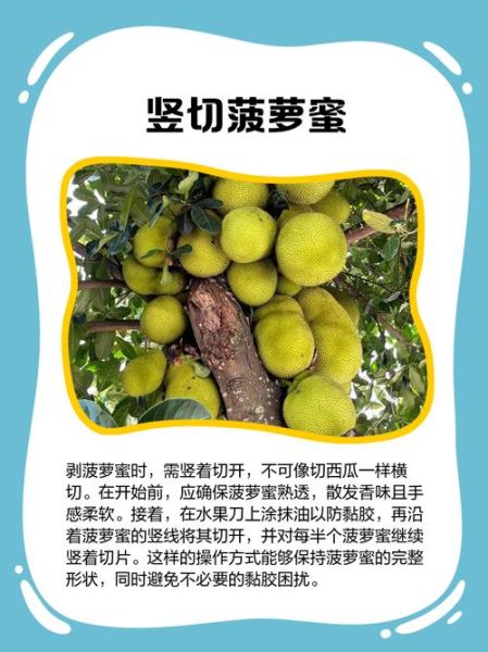 菠萝蜜怎么剥皮小窍门_菠萝蜜剥皮最简单方法-第3张图片-山城妙识 菠萝蜜怎么剥皮小窍门_菠萝蜜剥皮最简单方法-第3张图片-山城妙识