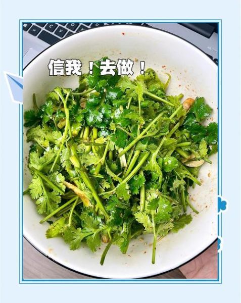 凉拌香菜的功效与作用_孕妇能吃吗-第1张图片-山城妙识 凉拌香菜的功效与作用_孕妇能吃吗-第1张图片-山城妙识