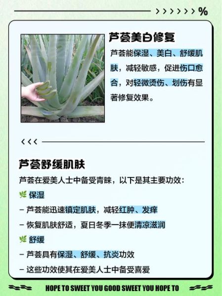 芦荟对男性功能有用吗_芦荟能提高性功能吗-第2张图片-山城妙识 芦荟对男性功能有用吗_芦荟能提高性功能吗-第2张图片-山城妙识