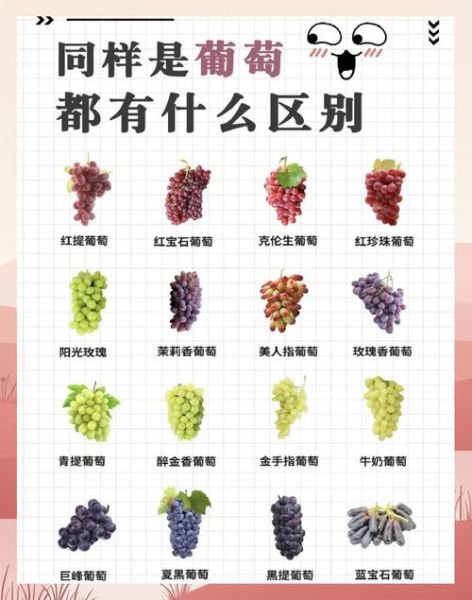 葡萄的营养价值及功效与作用_吃葡萄有哪些好处-第2张图片-山城妙识 葡萄的营养价值及功效与作用_吃葡萄有哪些好处-第2张图片-山城妙识