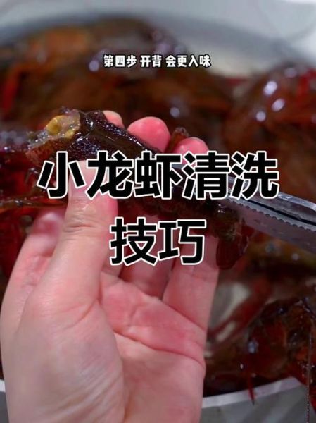 龙虾怎么清洗_龙虾清洗小妙招-第2张图片-山城妙识