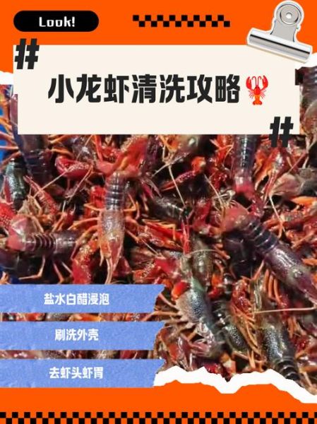 龙虾怎么清洗_龙虾清洗小妙招-第3张图片-山城妙识