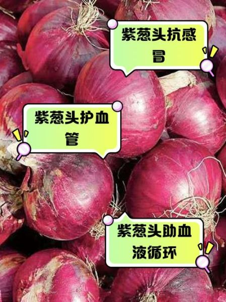 葱头的功效与作用_葱头的害处有哪些-第2张图片-山城妙识