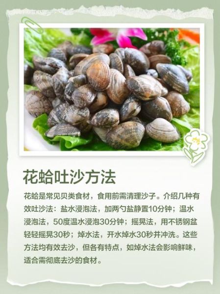 花蛤放清水里能过夜吗_花蛤隔夜会不会死-第2张图片-山城妙识 花蛤放清水里能过夜吗_花蛤隔夜会不会死-第2张图片-山城妙识
