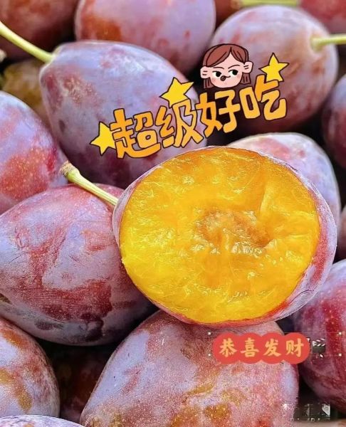 西梅热量高吗_减肥可以吃西梅吗-第3张图片-山城妙识 西梅热量高吗_减肥可以吃西梅吗-第3张图片-山城妙识