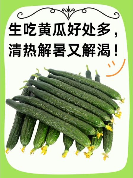黄瓜的功效与作用及禁忌_哪些人不能吃-第3张图片-山城妙识