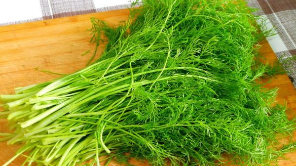茴香叶长什么样_茴香叶图片怎么辨别-第2张图片-山城妙识 茴香叶长什么样_茴香叶图片怎么辨别-第2张图片-山城妙识