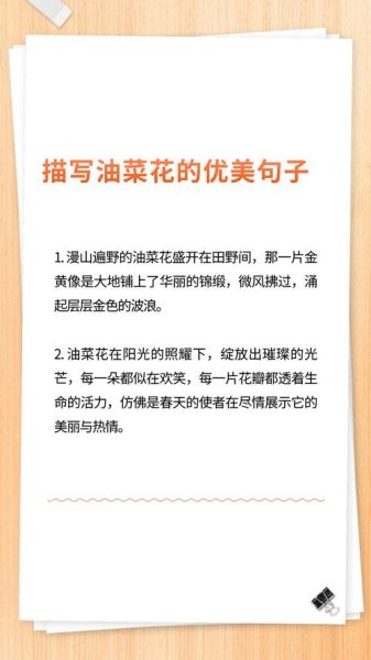 油菜花像什么_油菜花像什么比喻句-第1张图片-山城妙识 油菜花像什么_油菜花像什么比喻句-第1张图片-山城妙识