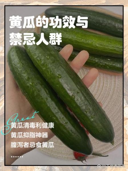黄瓜的功效与作用及禁忌_哪些人不能吃-第2张图片-山城妙识