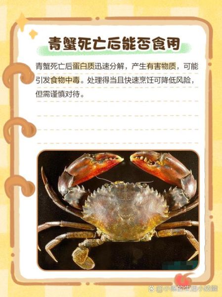 青蟹死了能吃吗_如何判断死蟹是否变质-第2张图片-山城妙识