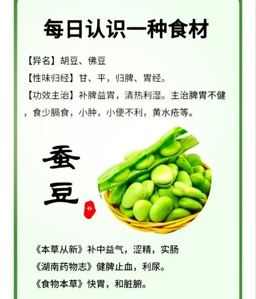蚕豆的功效与作用及食用方法_蚕豆怎么吃最健康-第1张图片-山城妙识