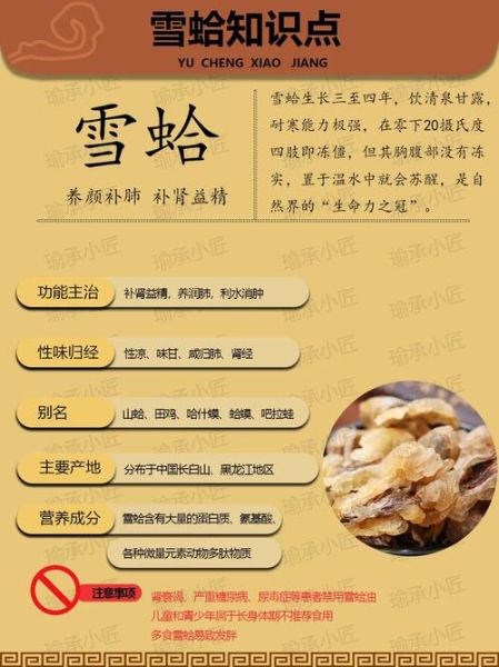 雪蛤是什么东西_雪蛤有什么功效-第1张图片-山城妙识