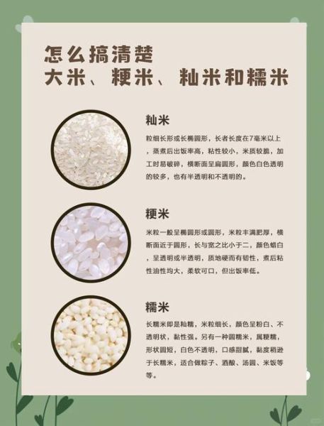 粳米和大米的营养区别_粳米和大米哪个更健康-第1张图片-山城妙识