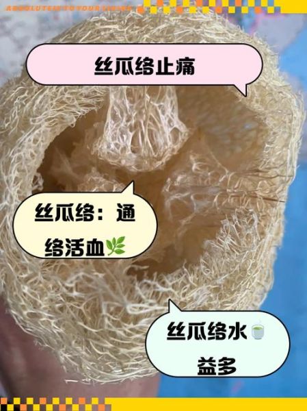 老丝瓜能打通经络吗_老丝瓜络煮水喝真的有效吗-第3张图片-山城妙识
