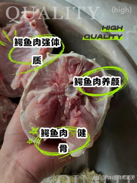 鳄鱼肉什么口感_鳄鱼肉好吃吗-第3张图片-山城妙识
