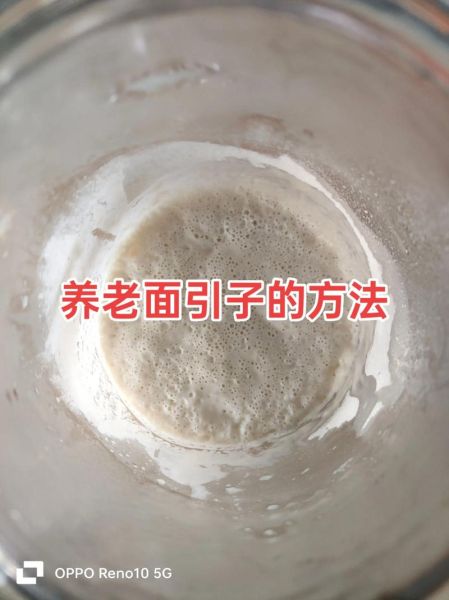 老面馒头怎么做_老面馒头为什么发酸-第3张图片-山城妙识