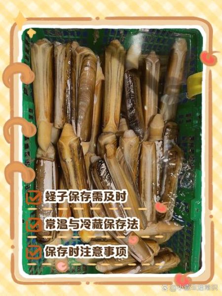 蛏子怎么清洗内脏_蛏子吐沙最快的方法-第3张图片-山城妙识 蛏子怎么清洗内脏_蛏子吐沙最快的方法-第3张图片-山城妙识