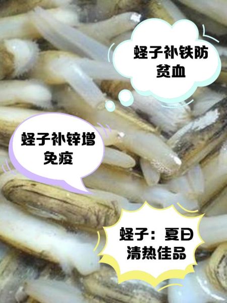 蛏子全身都可以吃吗_哪些部位不能吃-第1张图片-山城妙识 蛏子全身都可以吃吗_哪些部位不能吃-第1张图片-山城妙识